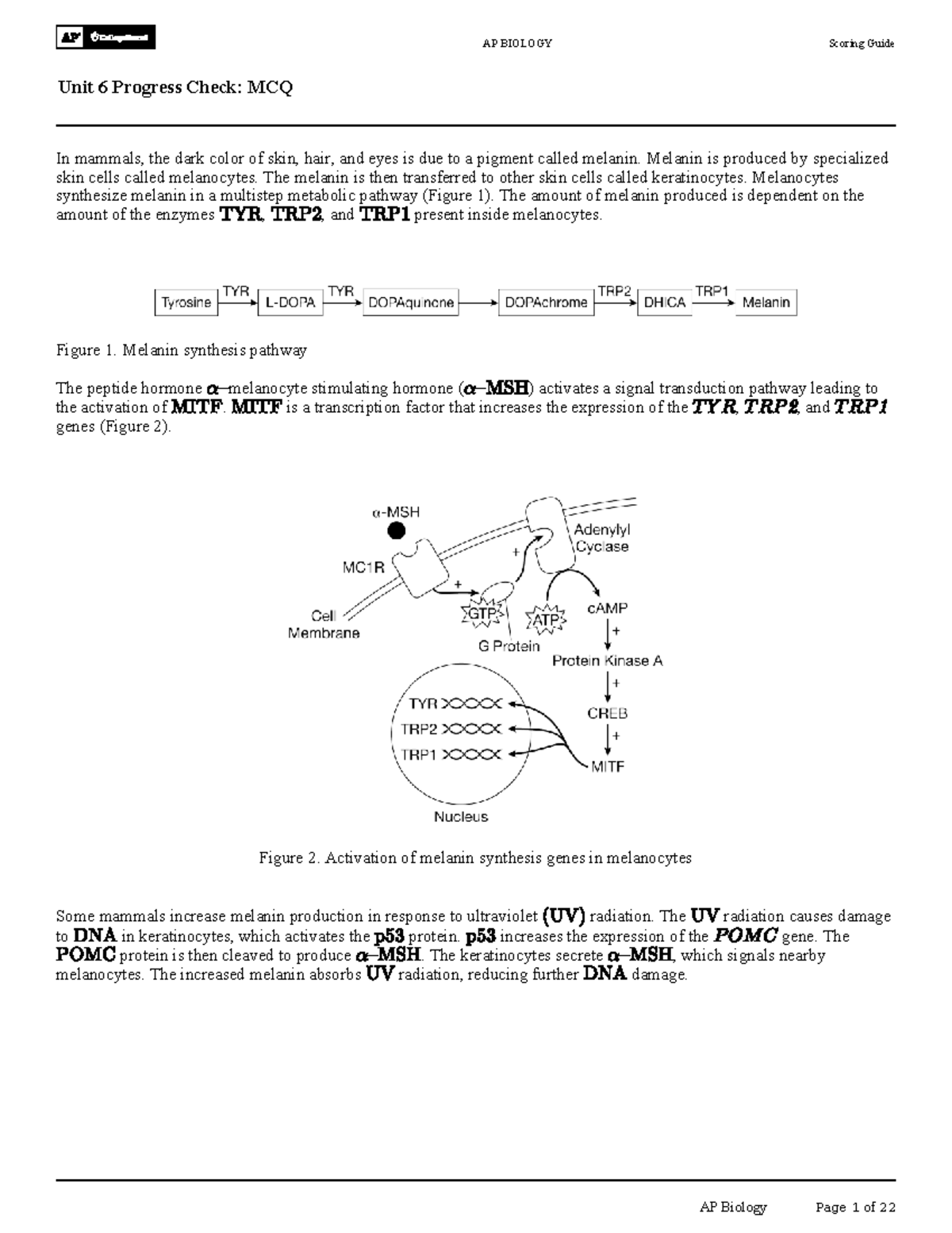 AP BIOLOGY Unit 6 Progress Check: MCQ Scoring Guide - Studocu