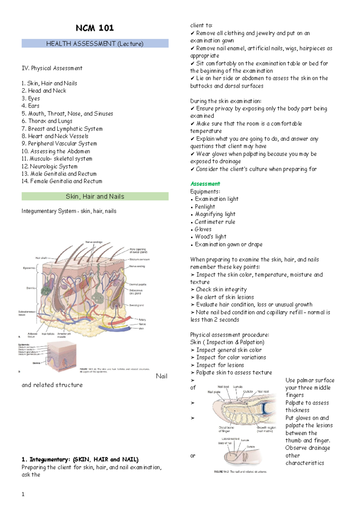 NCM 101 Health Assessment Lecture Notes (Midterm Review) - Studocu