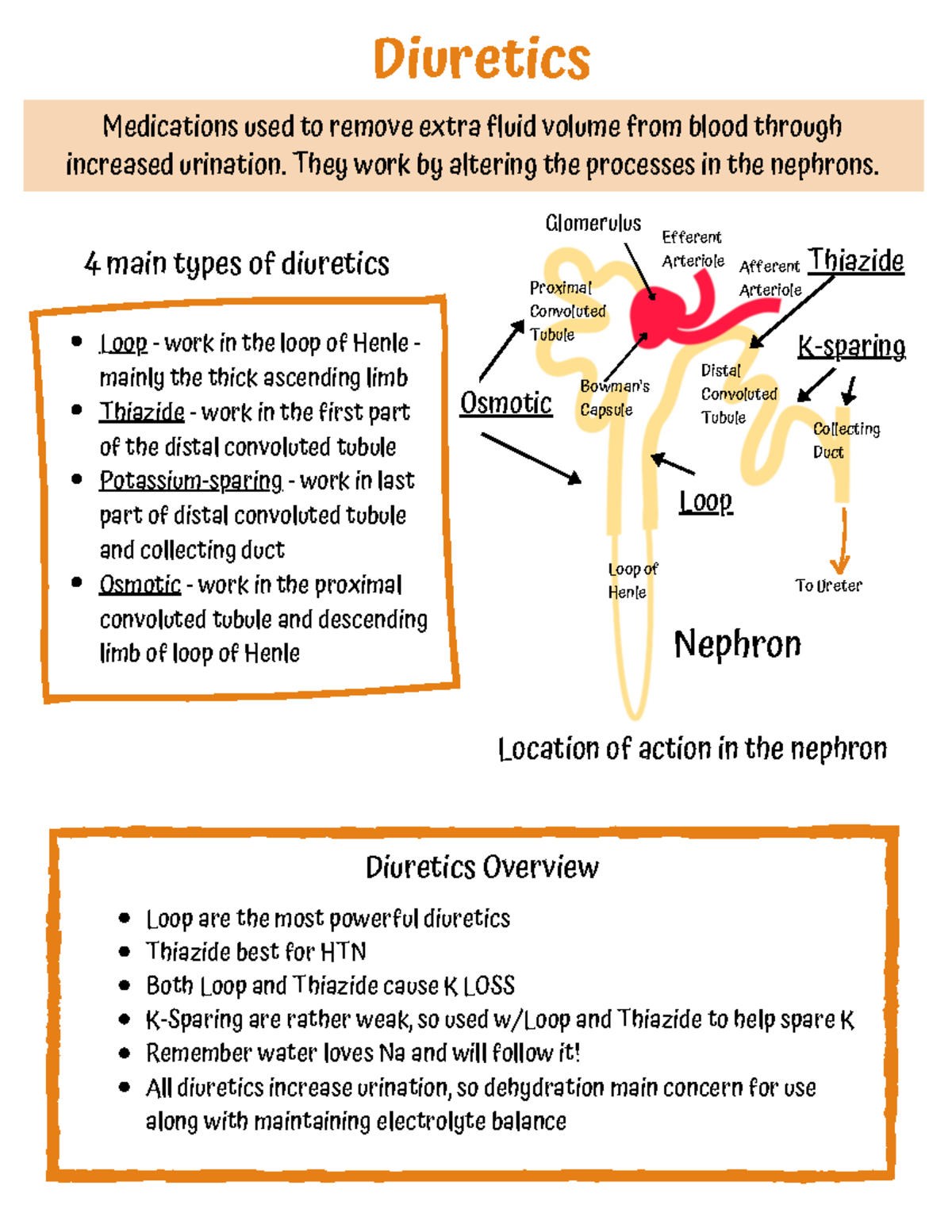 Diuretics (Nursing Notes): Action Mechanisms and Types Explained - Studocu