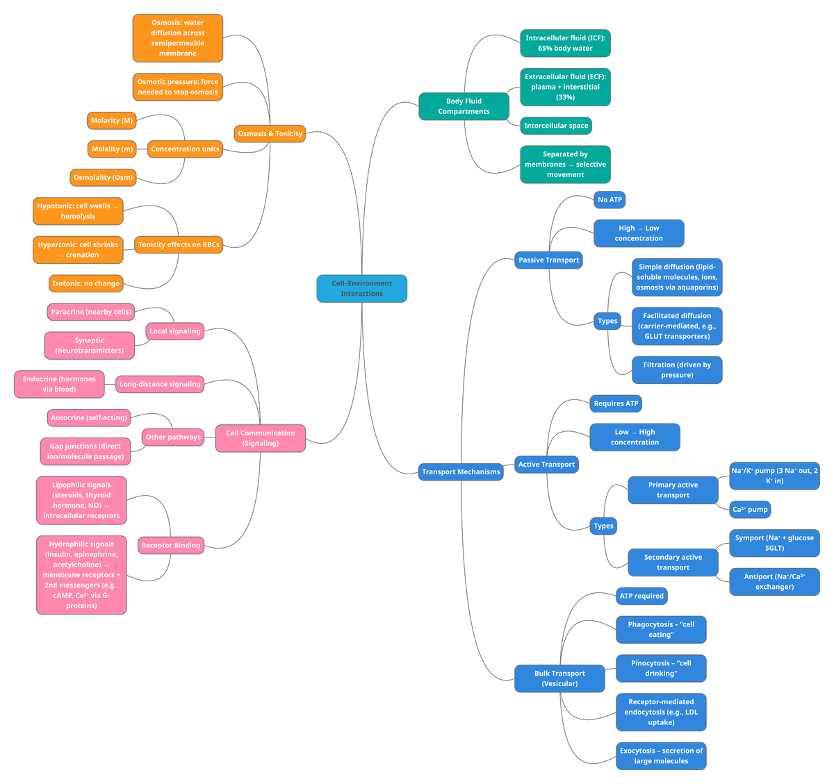 Osmosis and Transport Mechanisms: Mind Map for Bio 101 - Studocu
