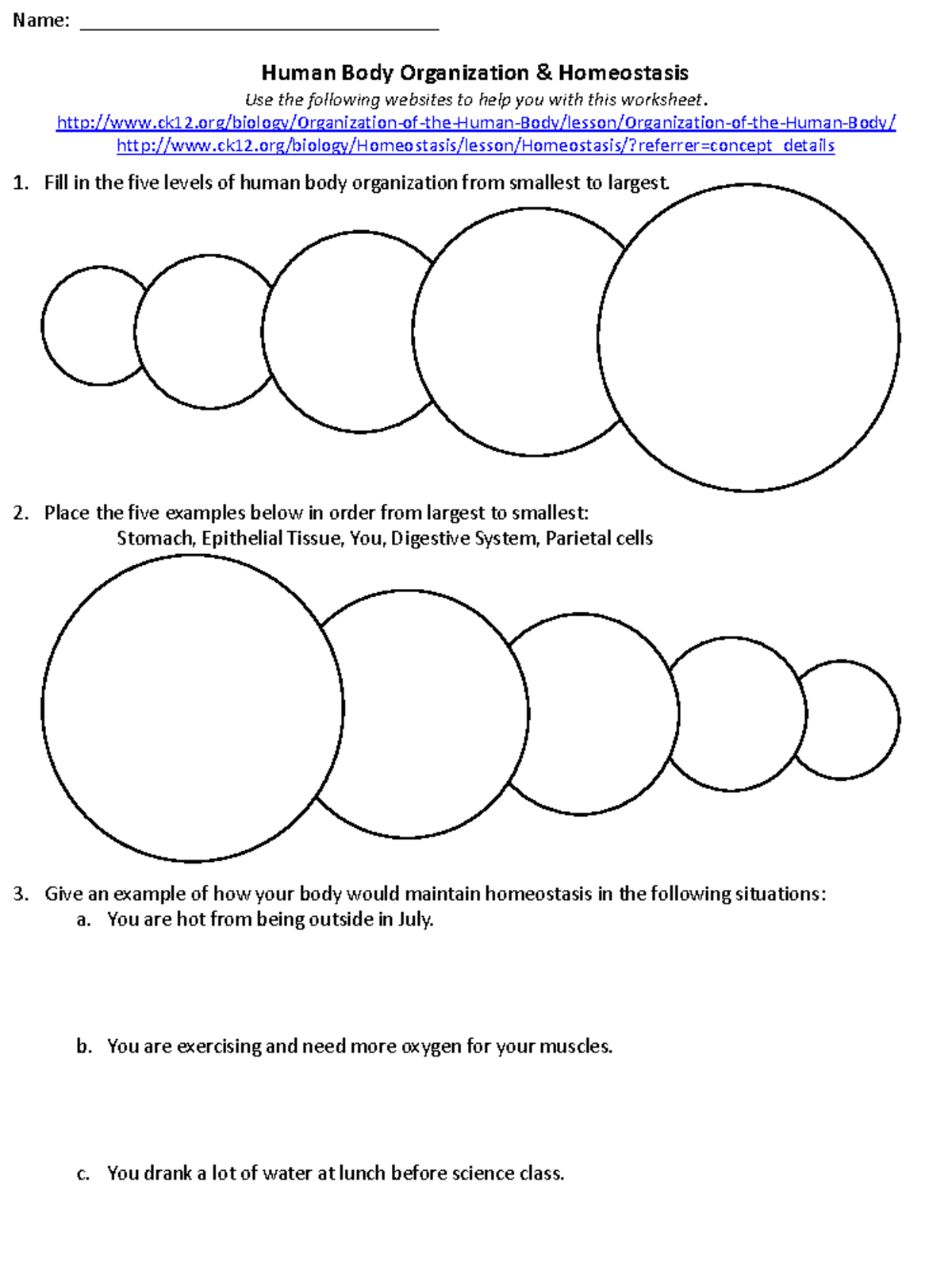 Body Organization & Homeostasis Worksheet - Studocu