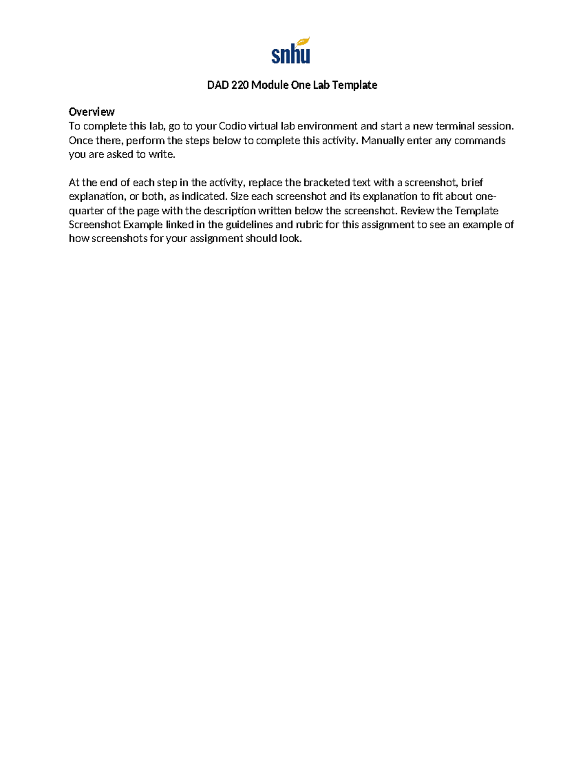 DAD 220 Module One Lab Template - DAD 220 Module One Lab Template Overview To complete this lab ...