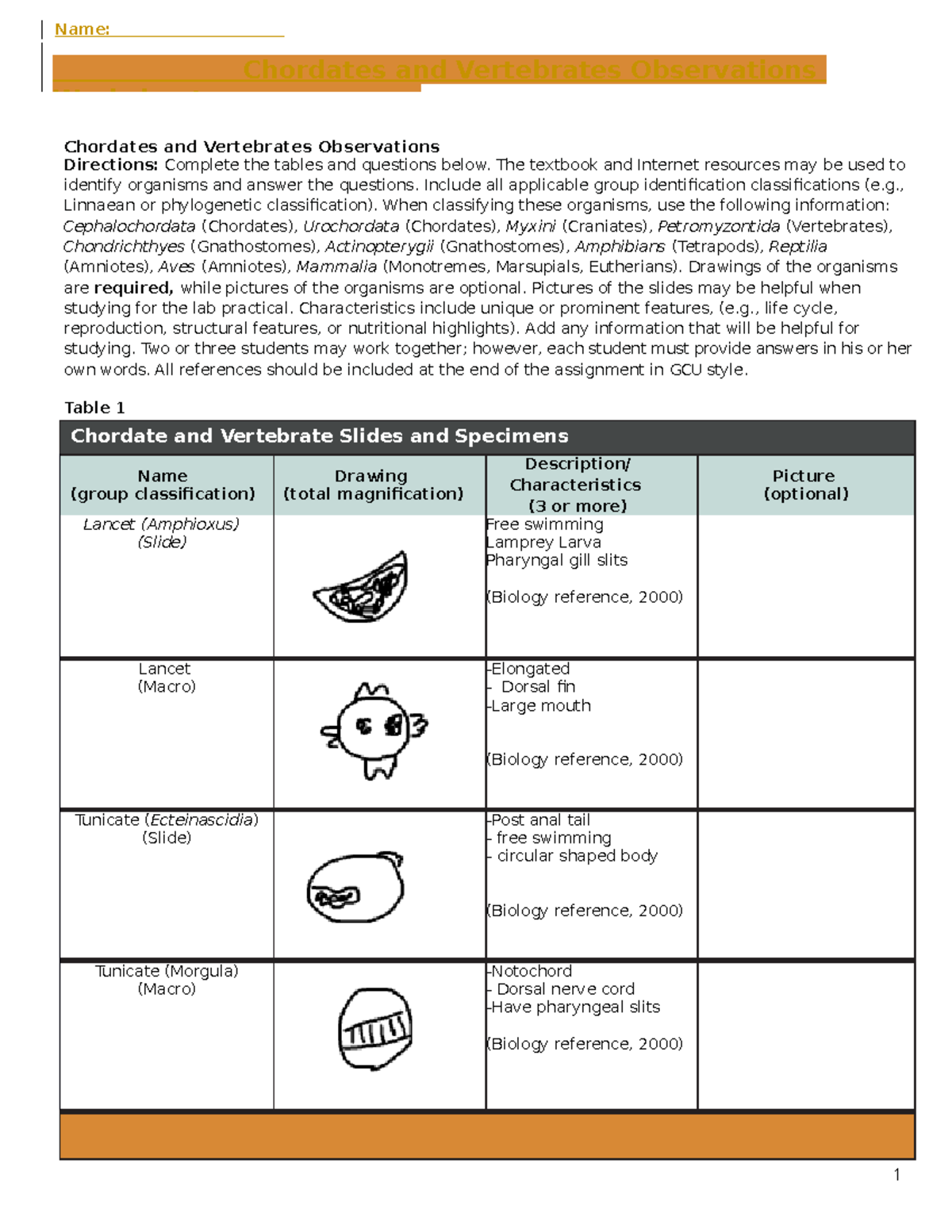 Chordates and Vertebrates Observations Worksheet (Biology 101) - Studocu