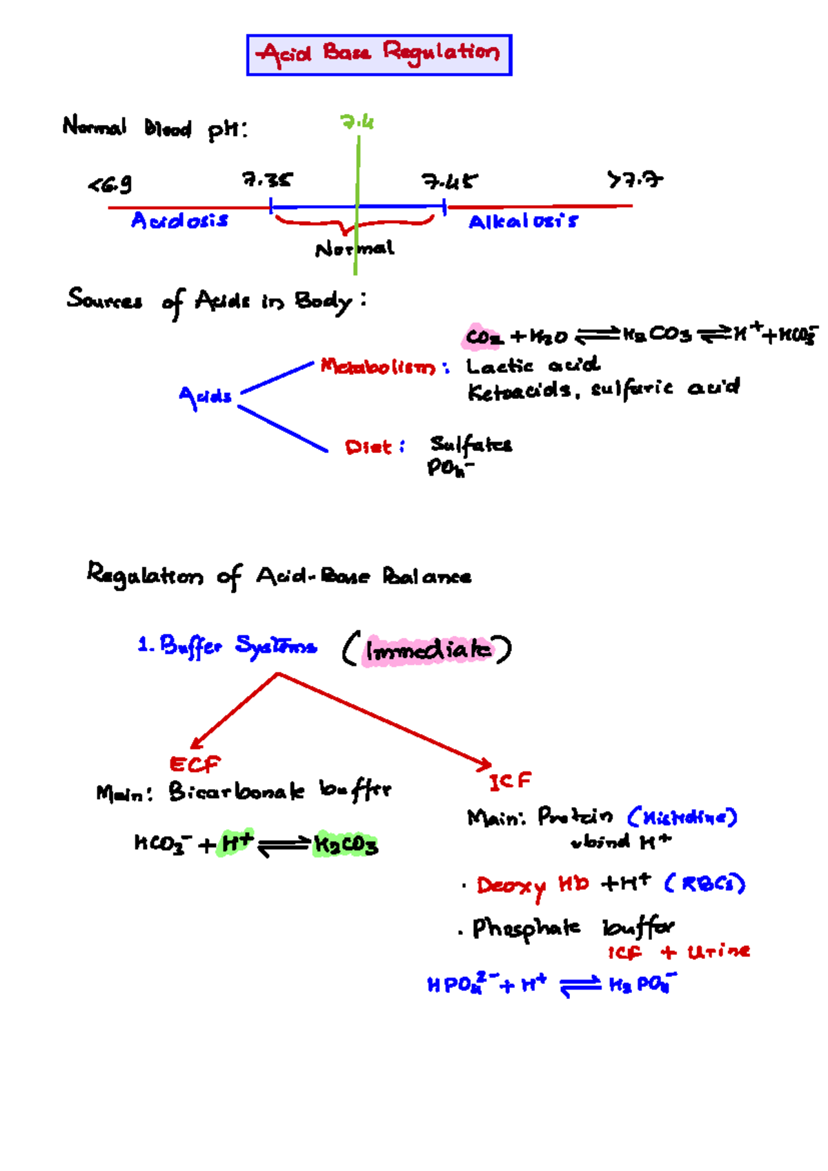 3.0 ABG - Acid-Base Regulation and Disorders Analysis - Studocu