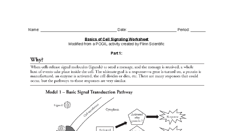 Basics of Cell Signaling Worksheet (POGIL) - 2016-2017 Revised - Studocu