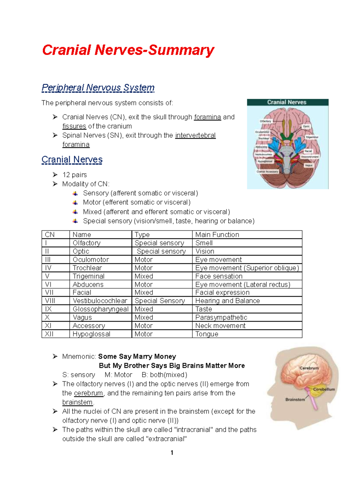 Cranial Nerves (CN) Detailed Notes: Clinical Correlations & Mnemonics ...