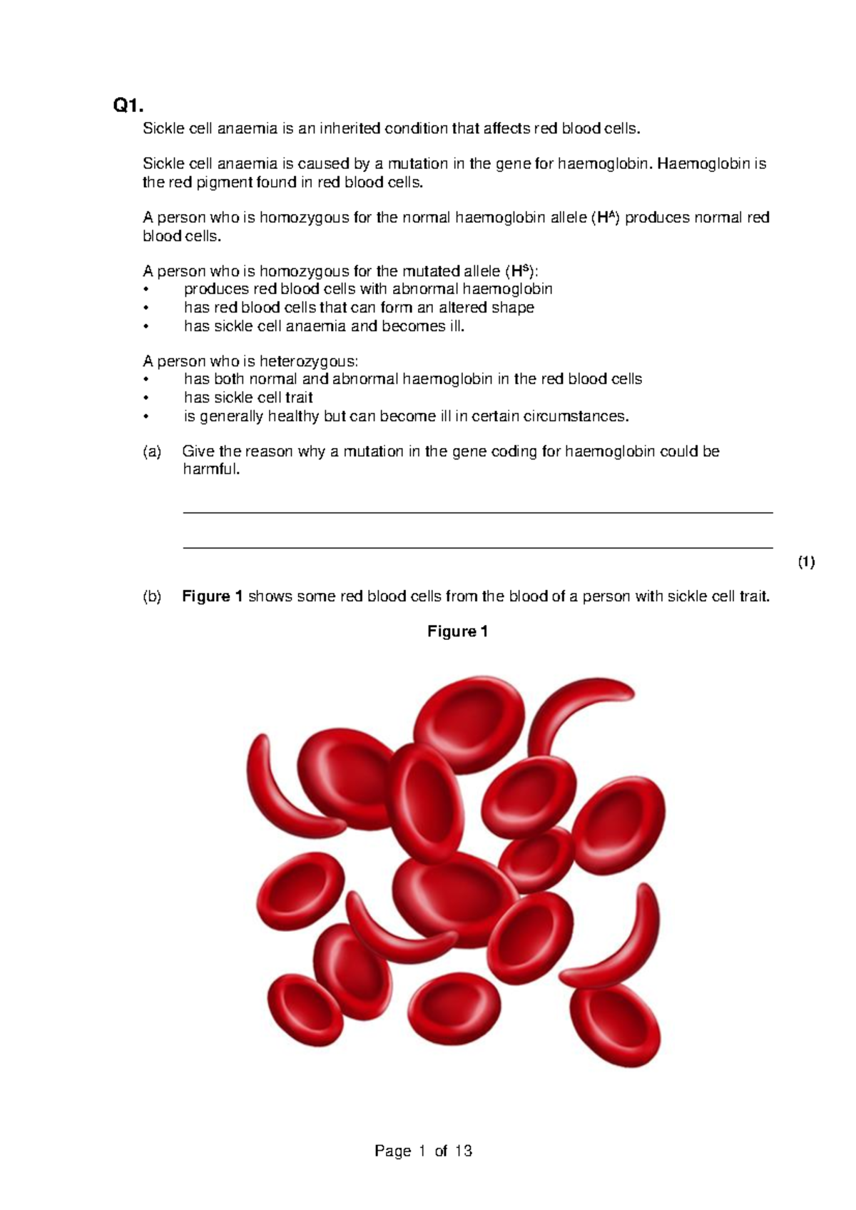 Genetics and Evolution Level 3 Exam Answers & Analysis - Studocu