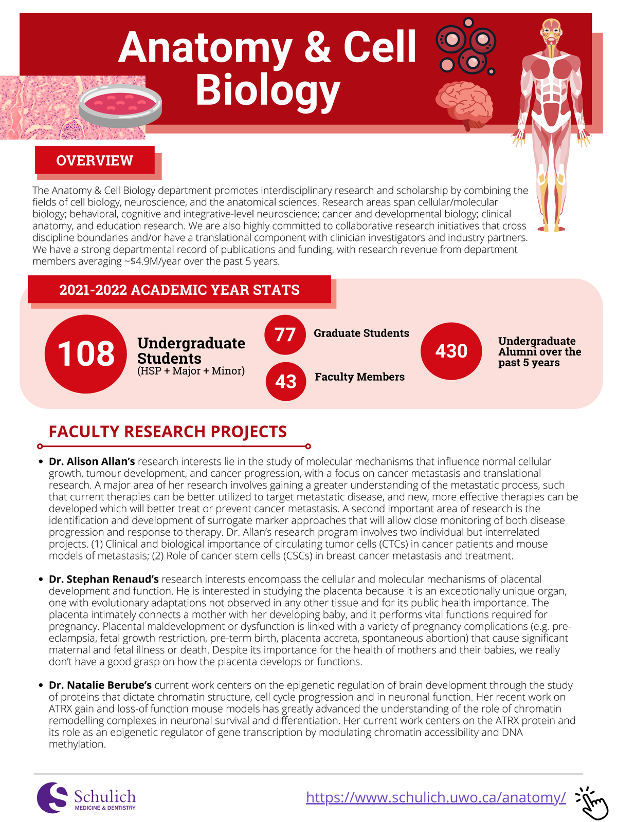 Anatomy & Cell Biology Overview: Research, Stats & Course Info - Studocu