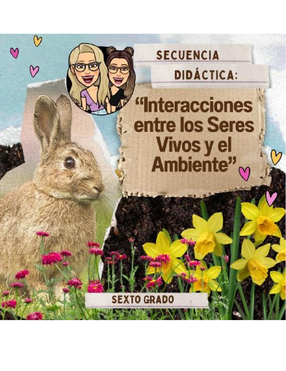 SECUENCIA DIDÁCTICA: Interacciones entre Seres Vivos y Ambiente - 6to ...
