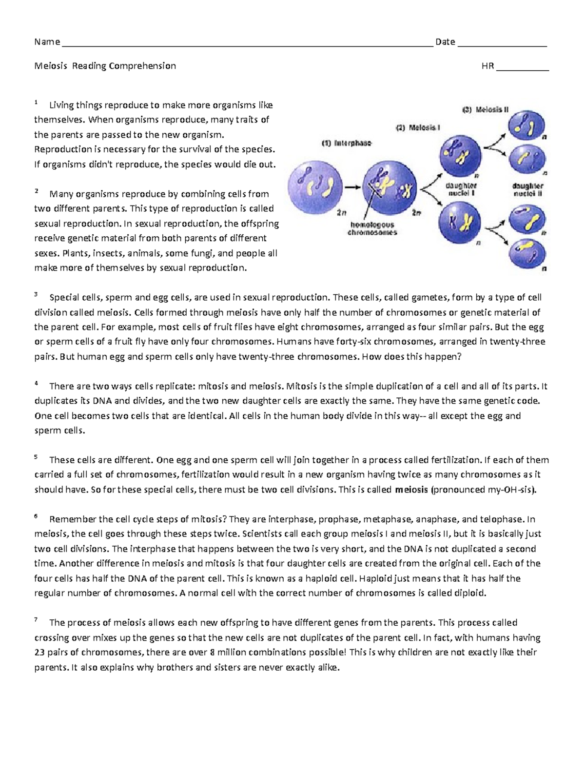 Meiosis Homework - Understanding Sexual Reproduction and Cell Division ...