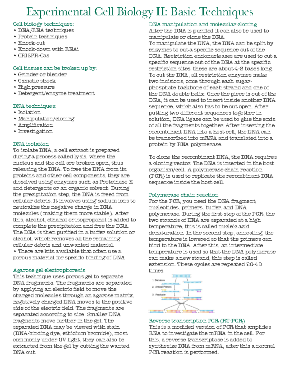 Basic Techniques in Experimental Cell Biology II: Lab Methods - Studeersnel