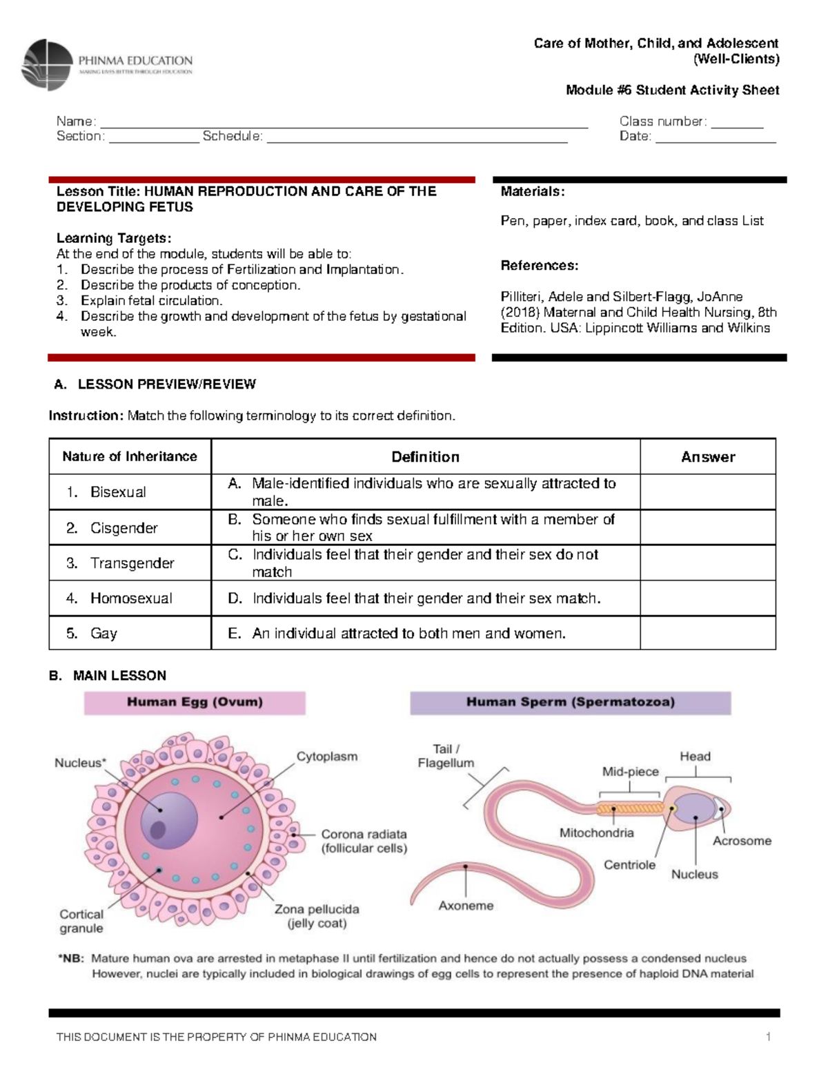 Human Reproduction and Fetal Development: Module 6 Student Activity ...
