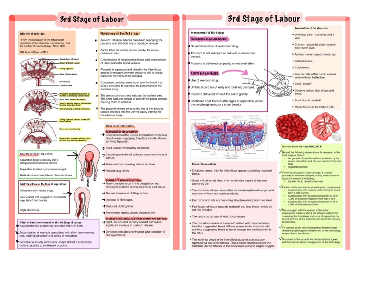 3rd stage - intrapartum care - Studocu