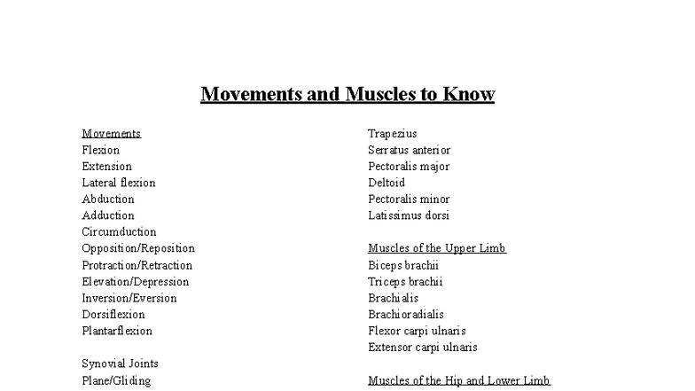 Movements and Muscles to Know: A Comprehensive Guide (Updated 11-2021 ...