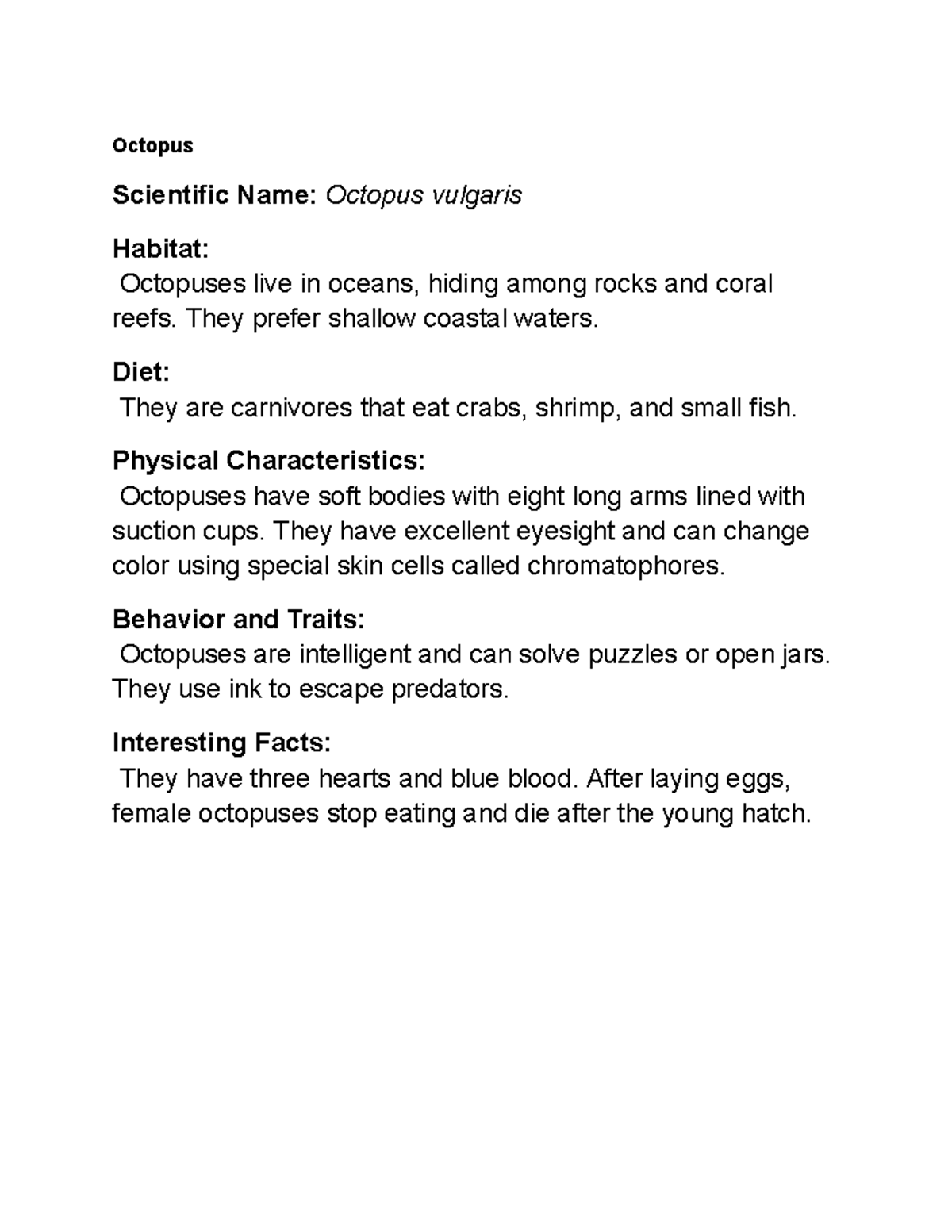 Octopus - veterinary - Octopus Scientific Name: Octopus vulgaris ...