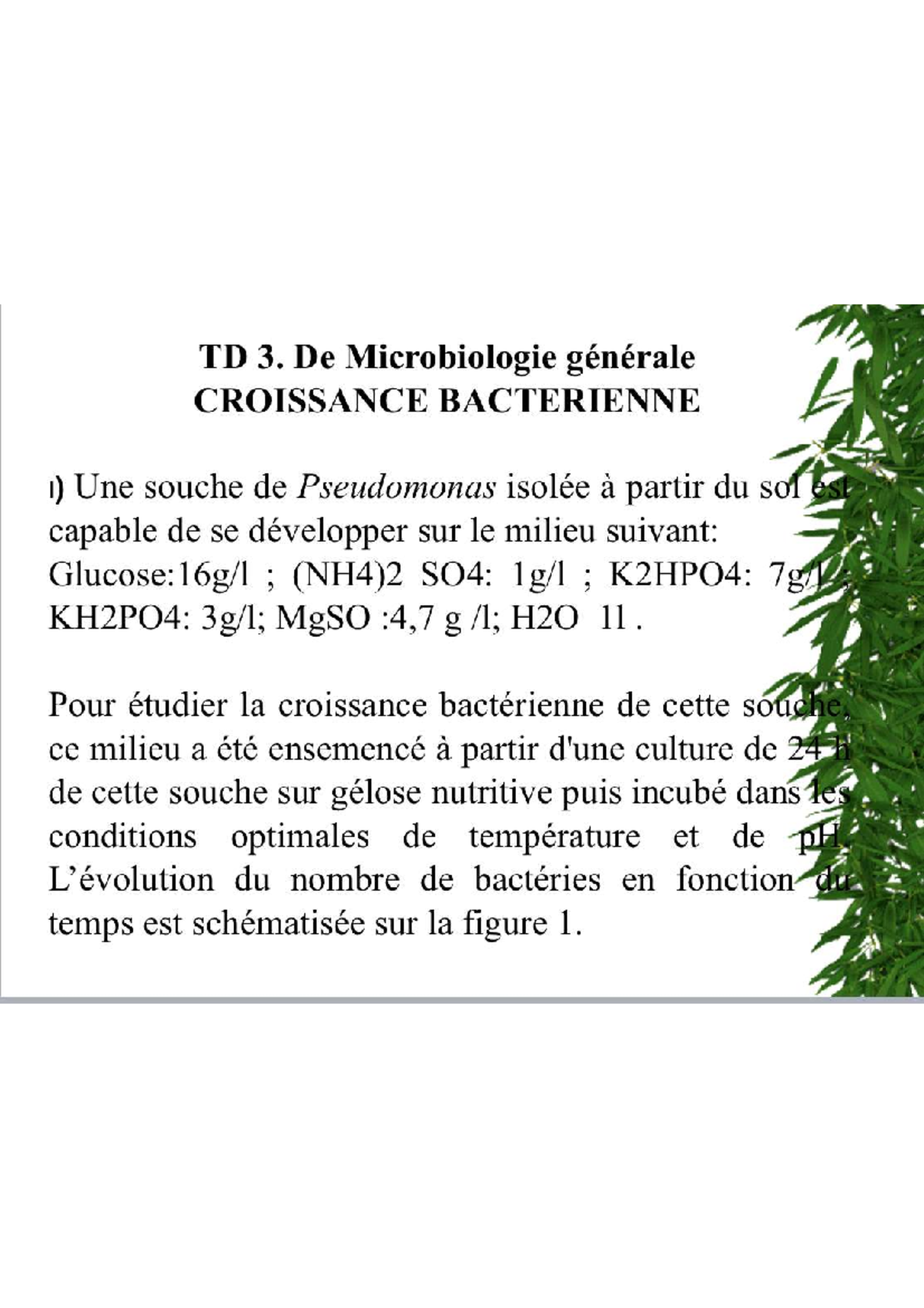 TD - Dénombrement de colonies - TD 3. De Microbiologie générale CROISSANCE BACTERIENNE I) Une ...