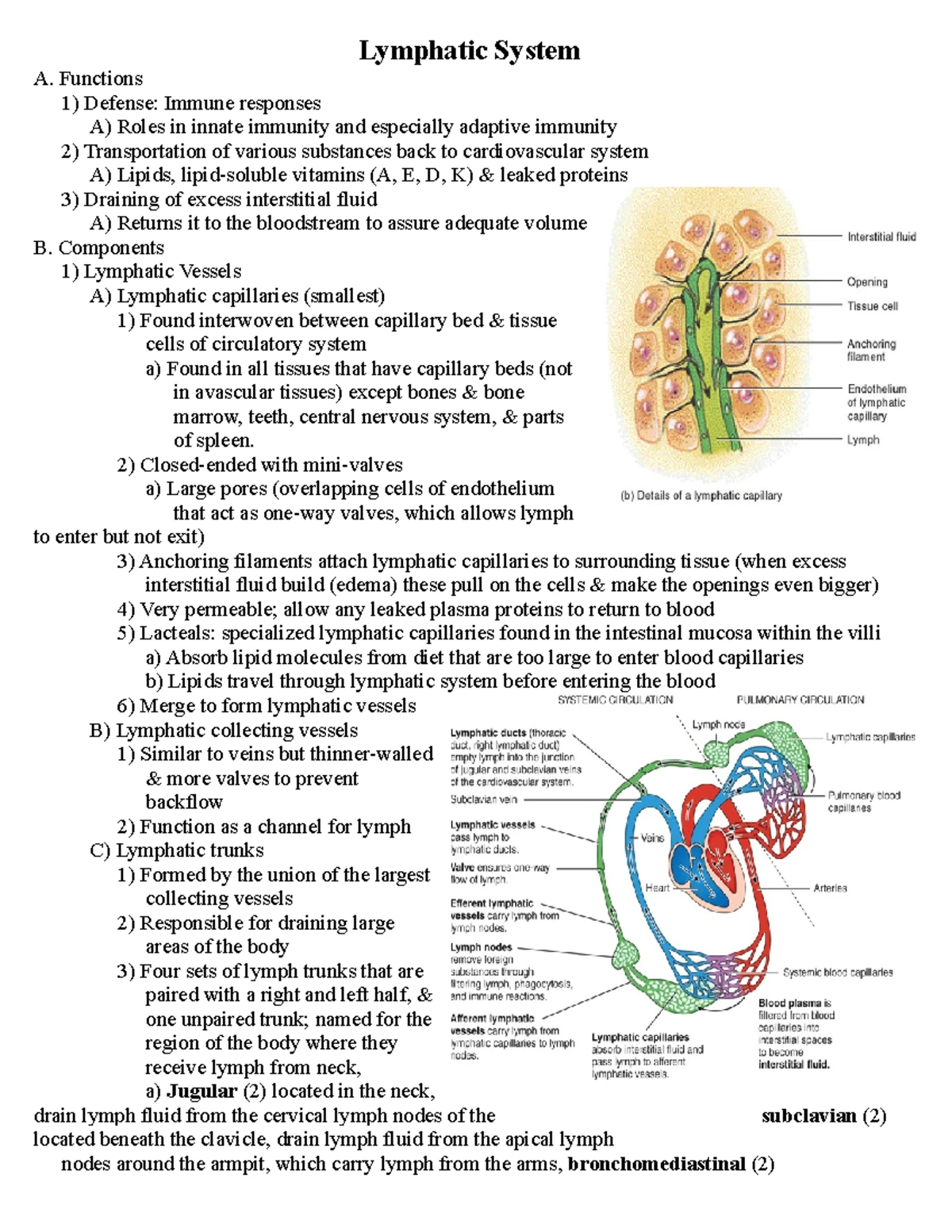 Different Patient Positioning - Different Positionings Supine Position ...