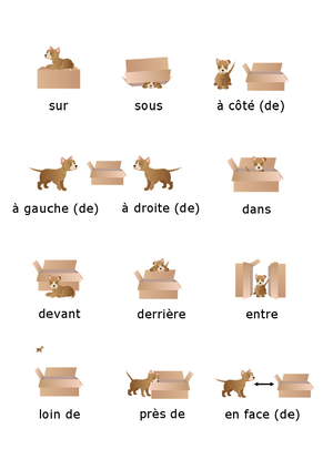 [Solved] dagen van de week in het frans - Frans - Studeersnel