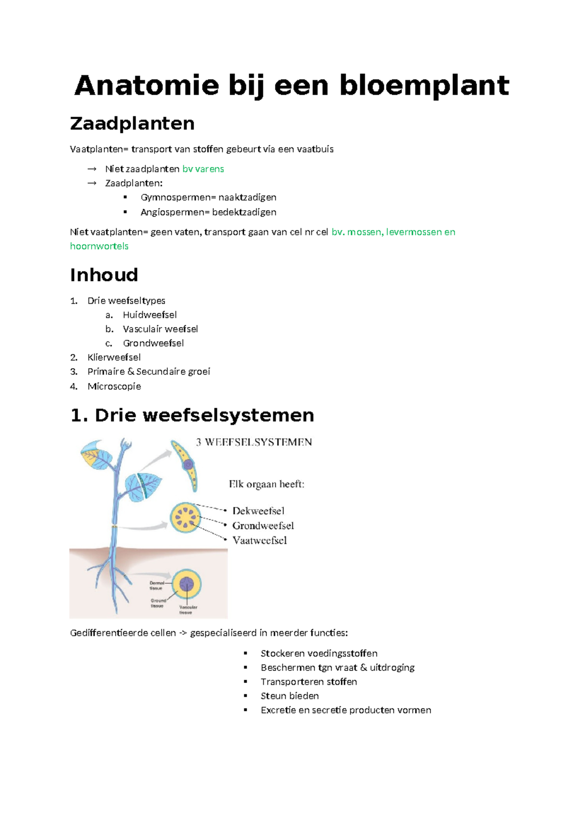 Anatomie van Zaadplanten: Weefseltypes en Groei - Biologie 101 - Studocu