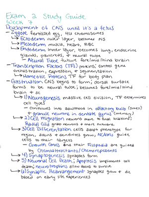 Auditory System Overview & Signal Transduction - SENSORY SYSTEMS ...