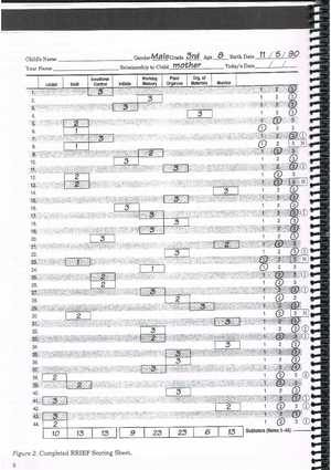 Child Behavior Checklist (CBCL) Overview Form - Studocu