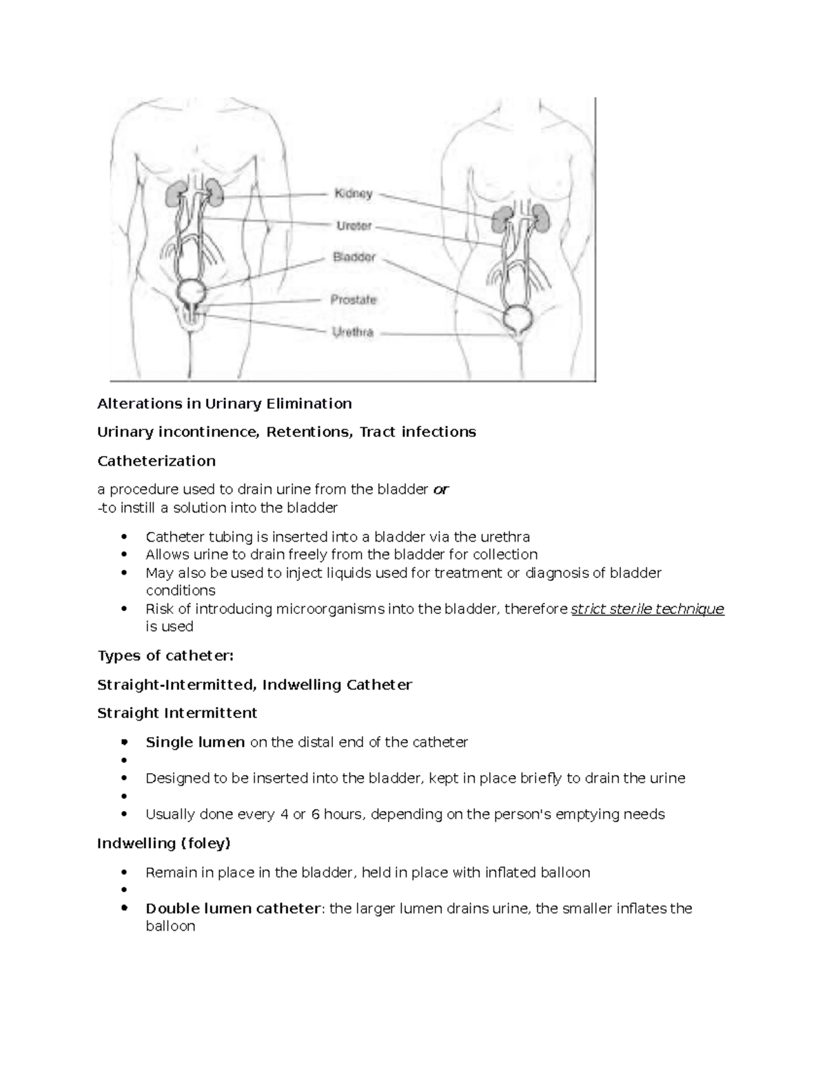 Urinary Catheterization - Alterations in Urinary Elimination Urinary ...