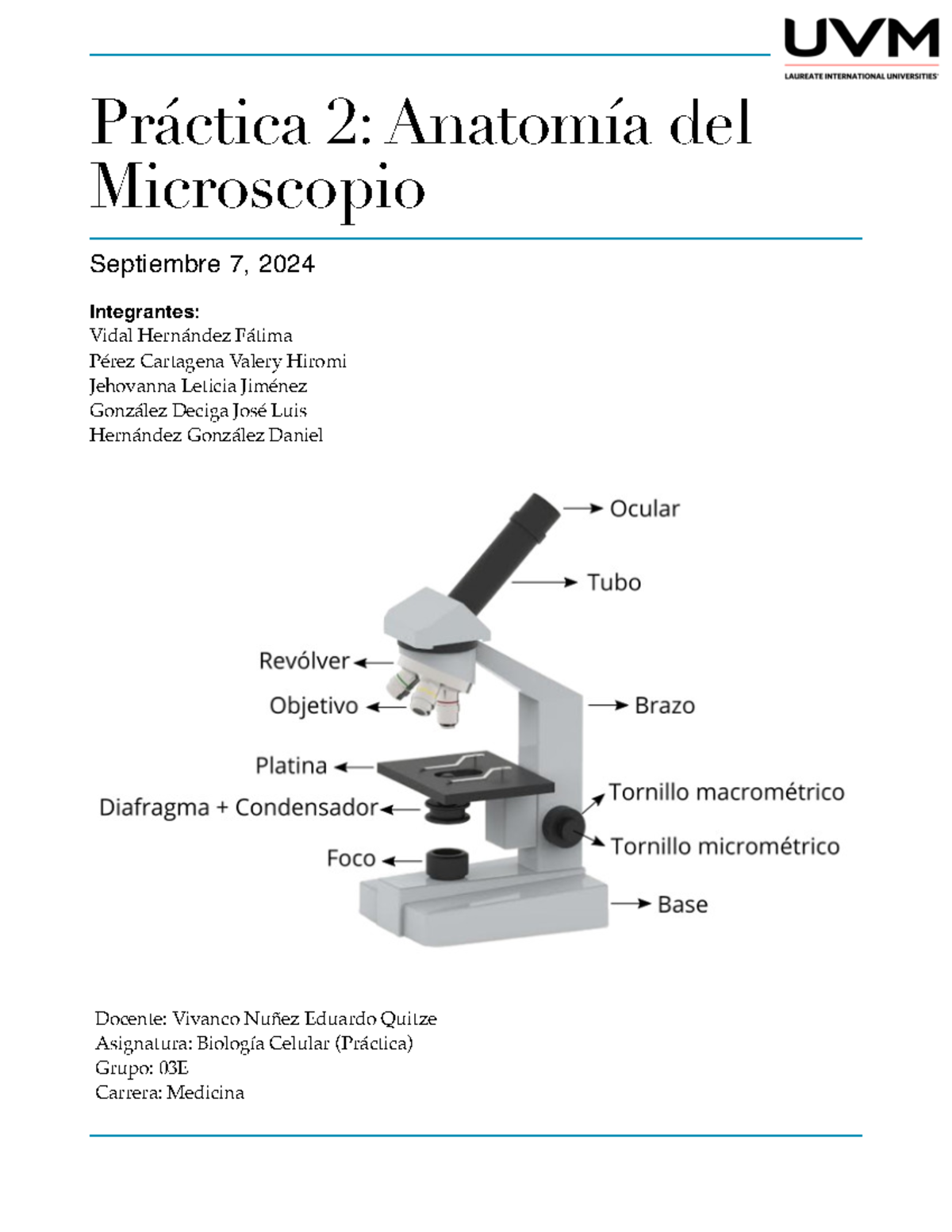 Práctica 2: Anatomía y Funcionamiento del Microscopio en Biología ...