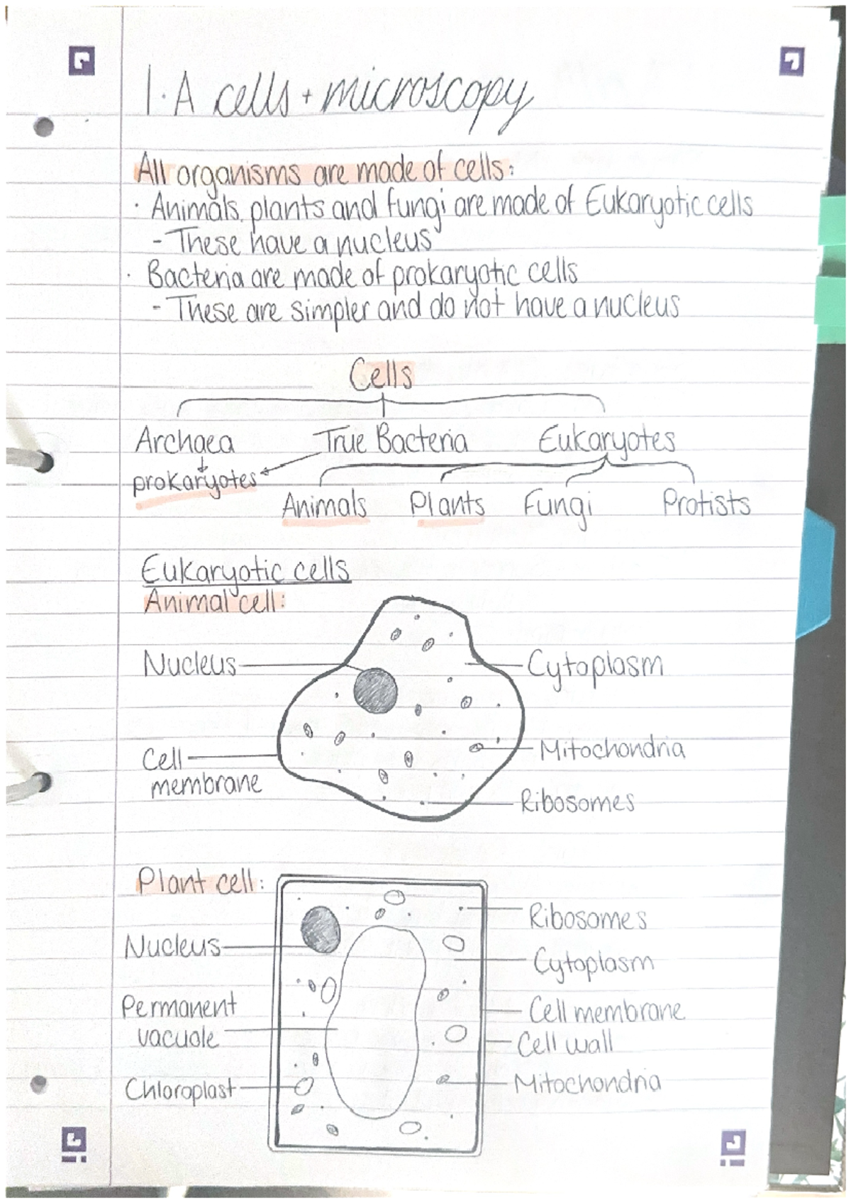 AQA Combined Science 1.A Cells & Microscopy Study Notes - Studocu