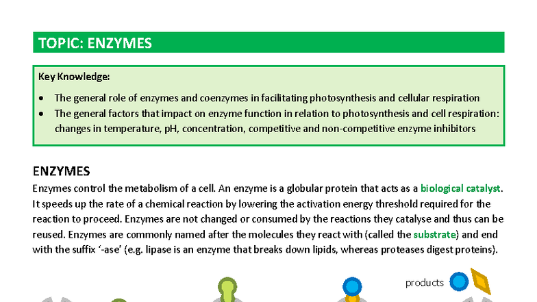 Enzymes - bio - TOPIC: ENZYMES Key Knowledge • • TThe general role of ...