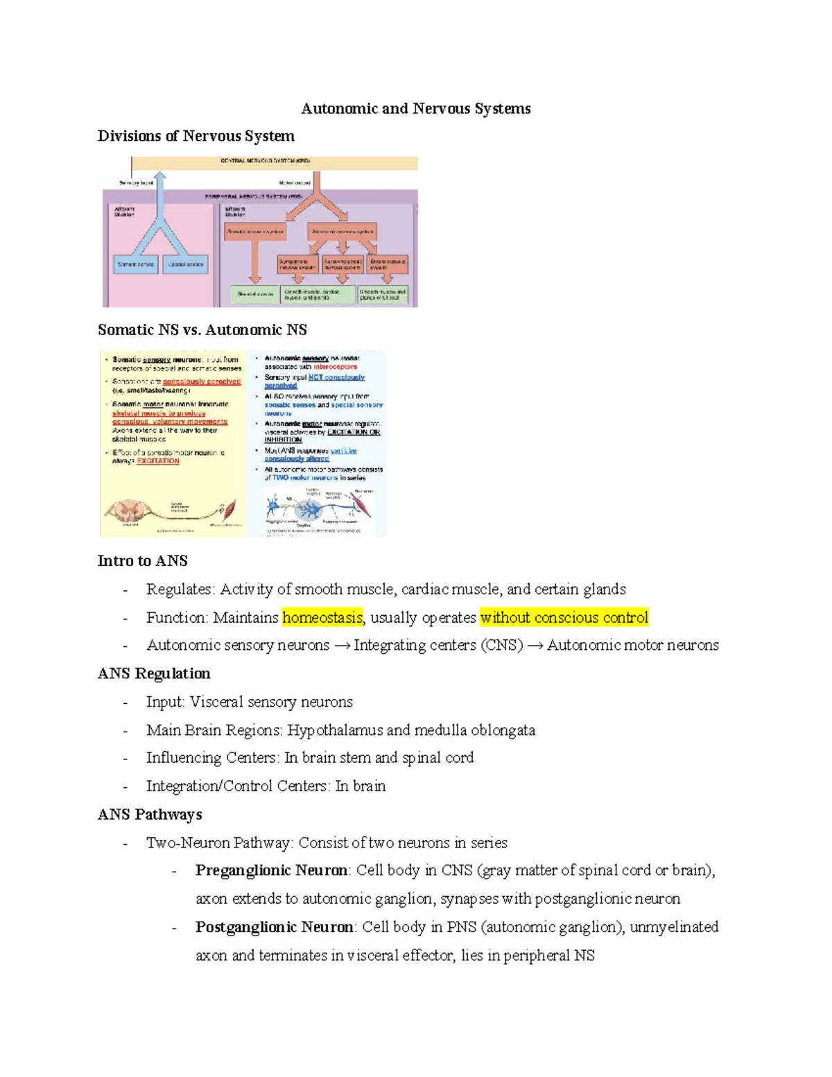 ANS and Muscle Physiology: Exam 2 Overview (Course Code) - Studocu