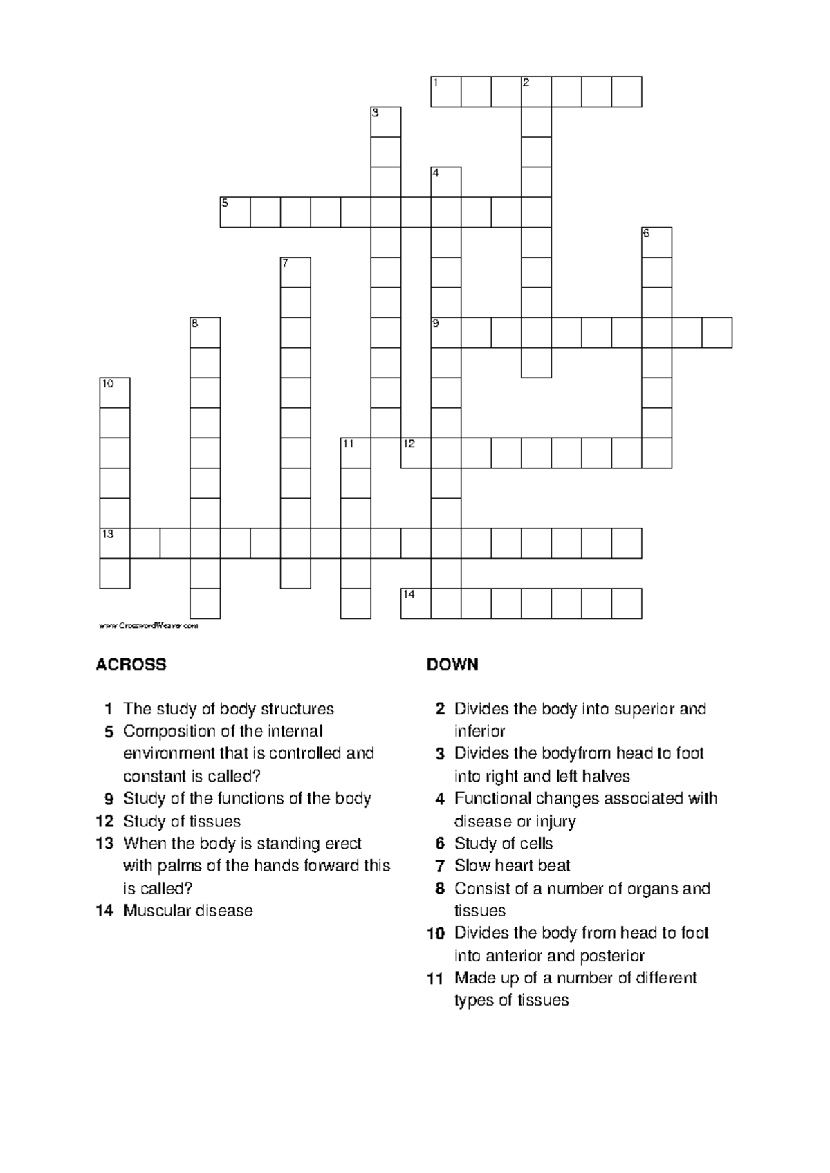 A&P Crossword Puzzle: Body Structures & Functions Quiz - Studocu
