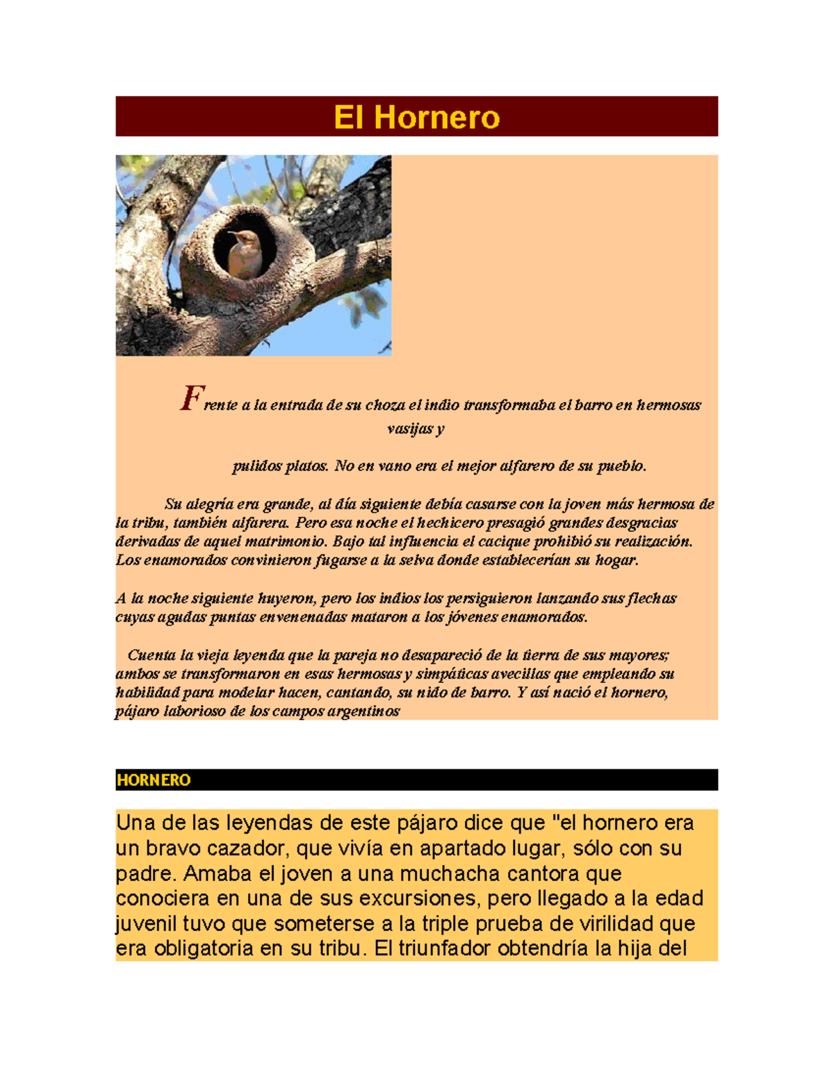 El Hornero: Leyenda y Significado del Ave Nacional Argentina - Studocu