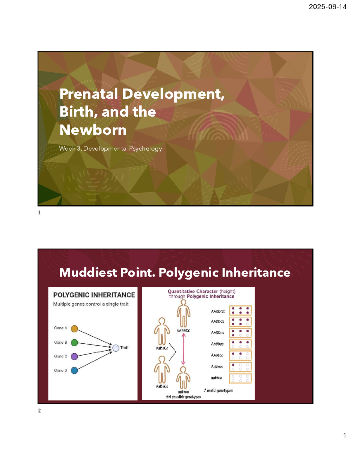 Developmental Psychology 1: Week 3 - Prenatal Development & Birth Insights - Studocu