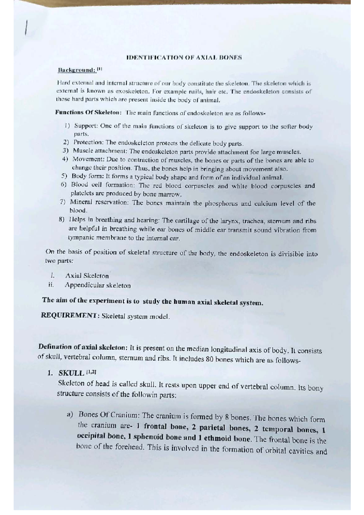 HAP Practical 4: Identification of Axial Skeleton Components - Studocu