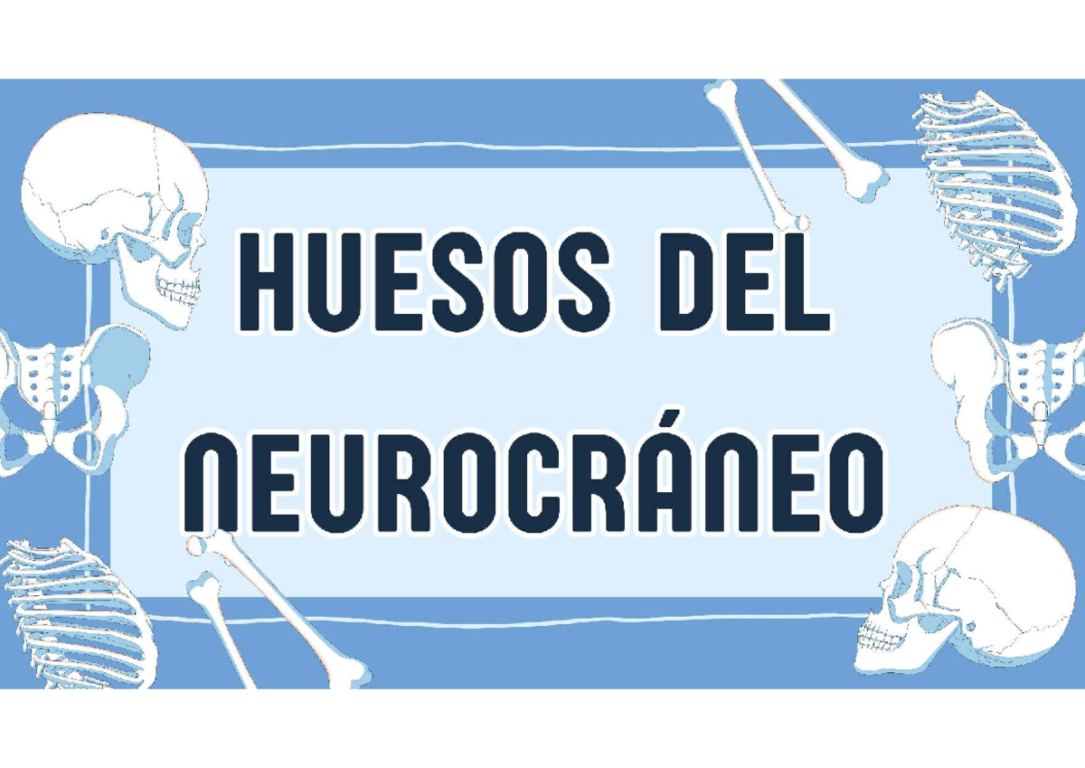Huesos del Neurocráneo: Estudio Detallado y Descriptivo - Studocu
