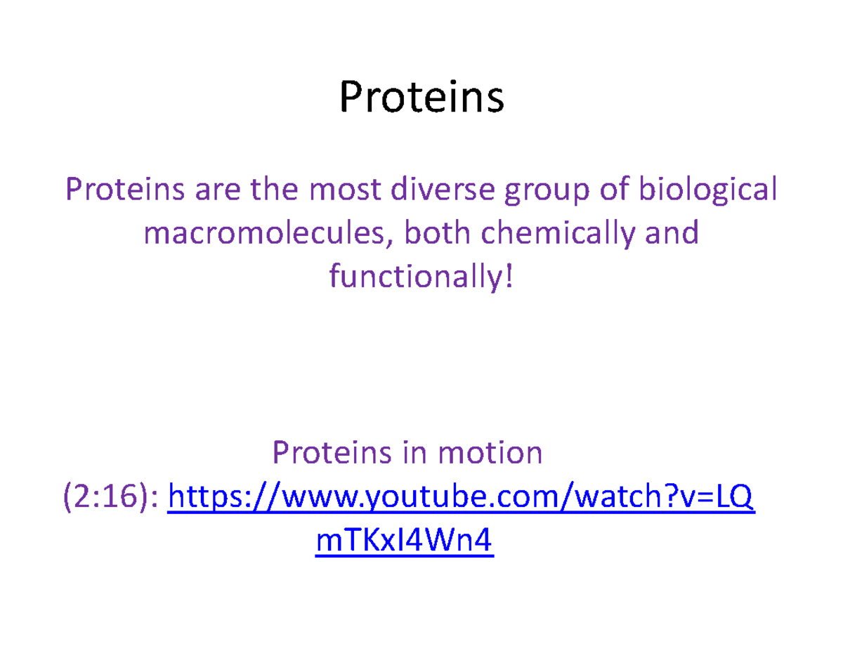 Protein Structure and Function: BIOL200 Comprehensive Overview - Studocu