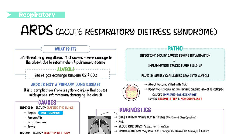 NUR 101: Respiratory Study Notes for Nursing Students - Studocu