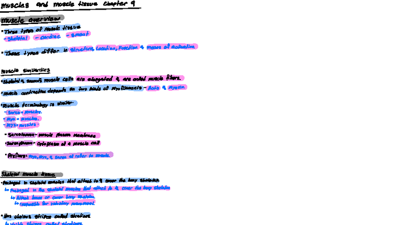 A&P 9: Overview of Muscle Tissue Structure and Function - Studocu