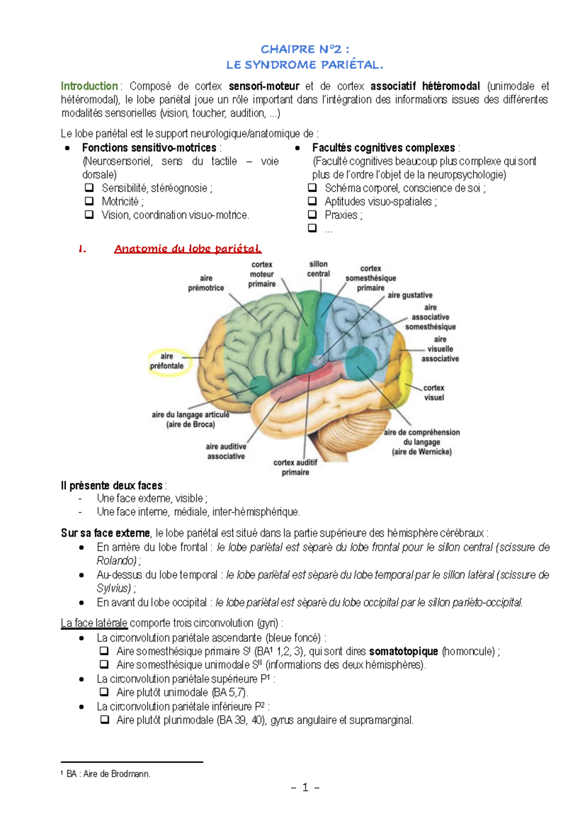 Chapitre 2 - Le Syndrome Pariétal : Anatomie et Troubles Associés - Studocu