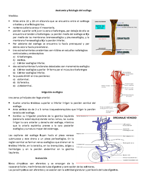 Recto y ano - Resumen Gastroenterología - a) Anatomía y Fisiología ...