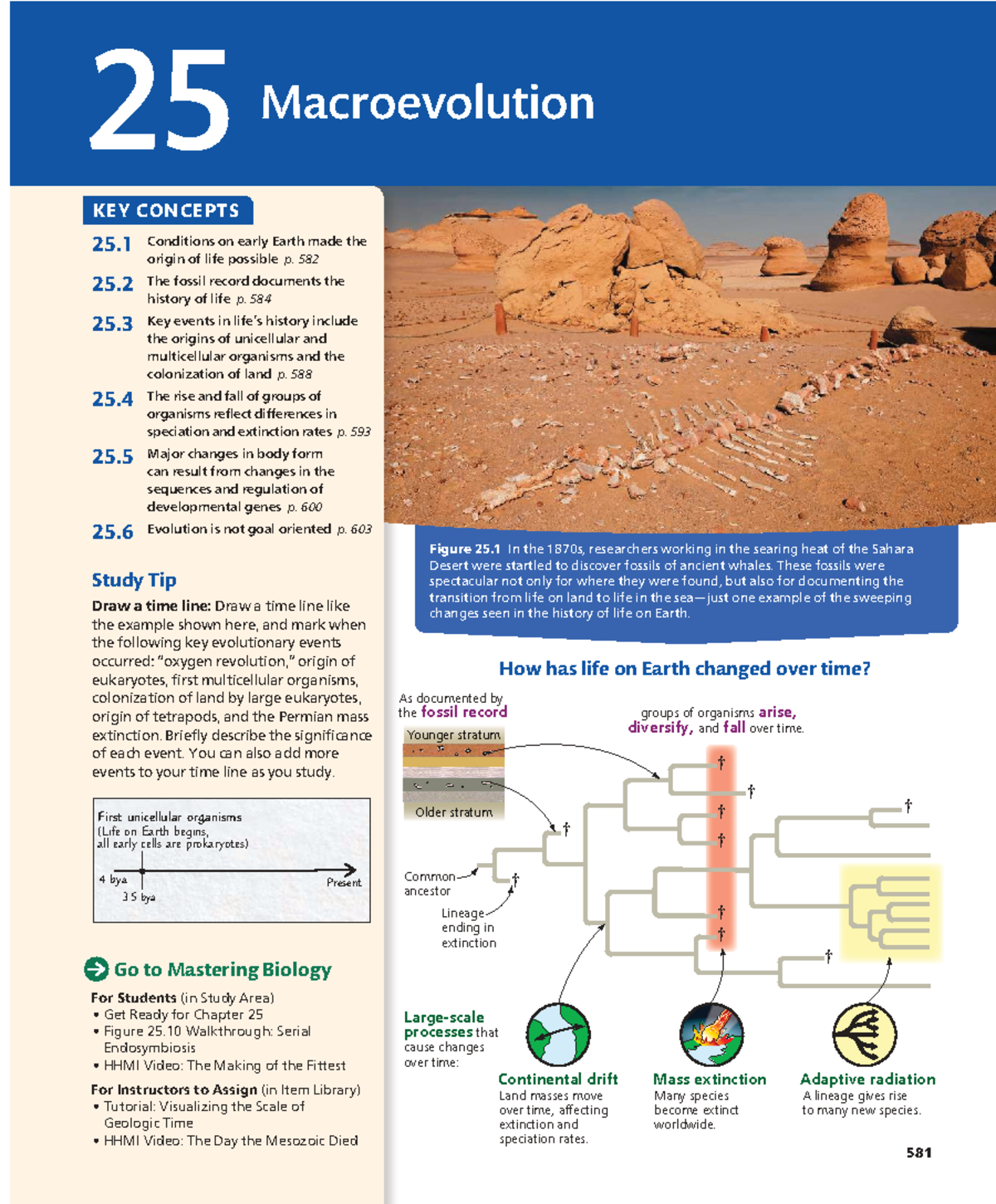 Biology 25: Macroevolution and the History of Life on Earth - Studeersnel