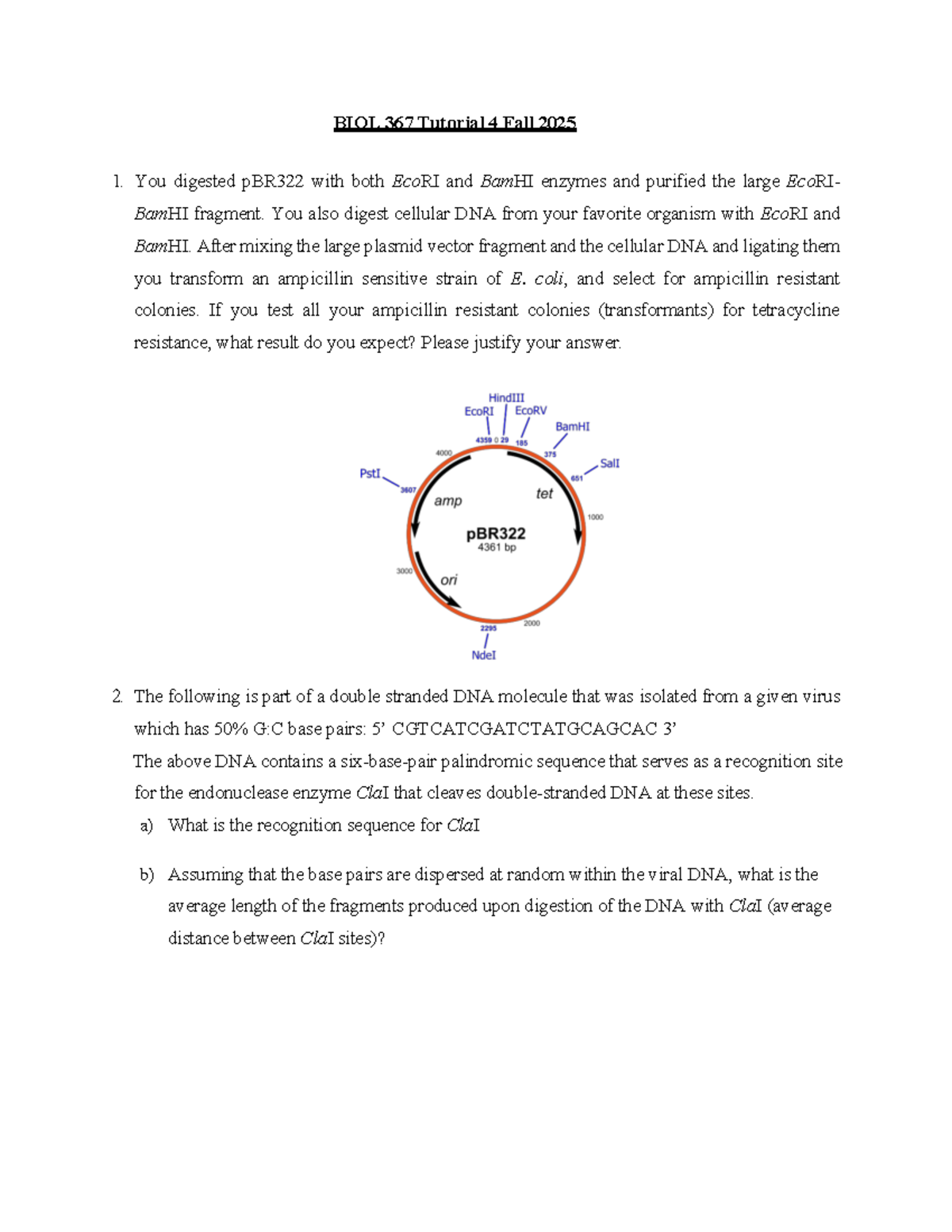 BIOL 367 Tutorial 4: DNA Digestion and PCR Analysis - Studocu