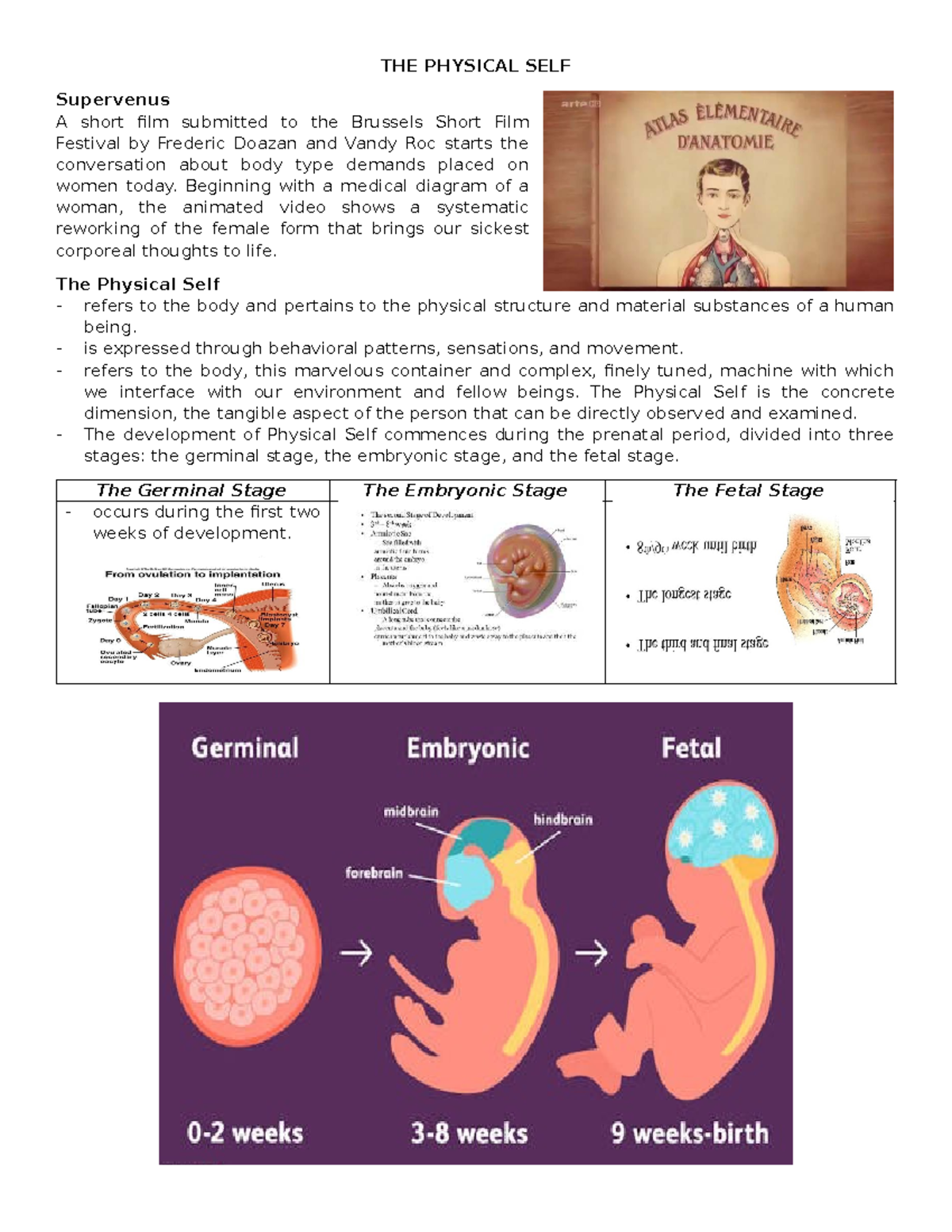 THE PHYSICAL SELF: Body Image & Cultural Standards Analysis - Studocu