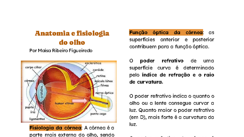 Anatomia e Fisiologia do Olho: Funções da Córnea e Cristalino - Studocu