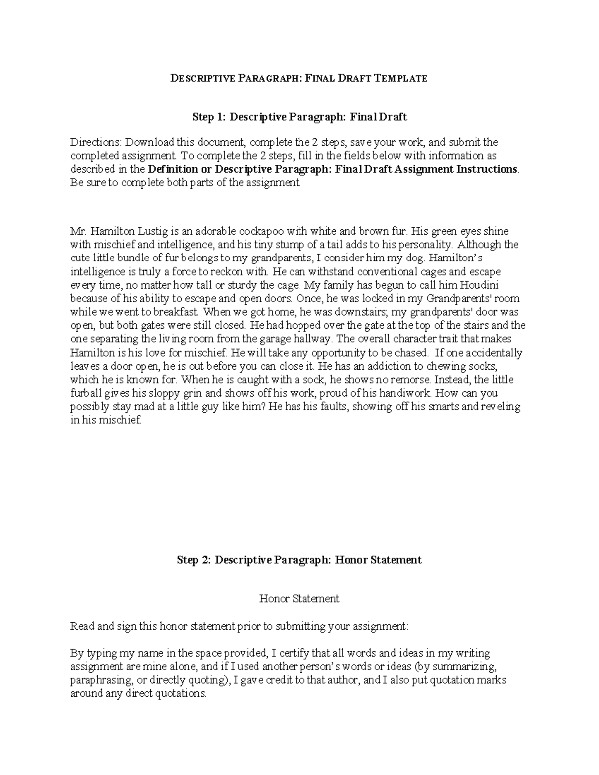 Descriptive Paragraph Final Draft: Mr. Hamilton Lustig the Cockapoo ...