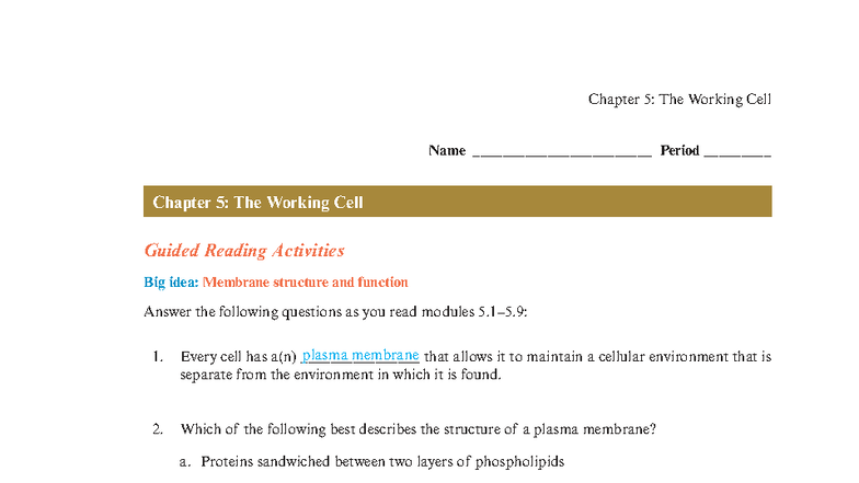 Chapter 5: The Working Cell Guided Reading Activity Answers - Studocu