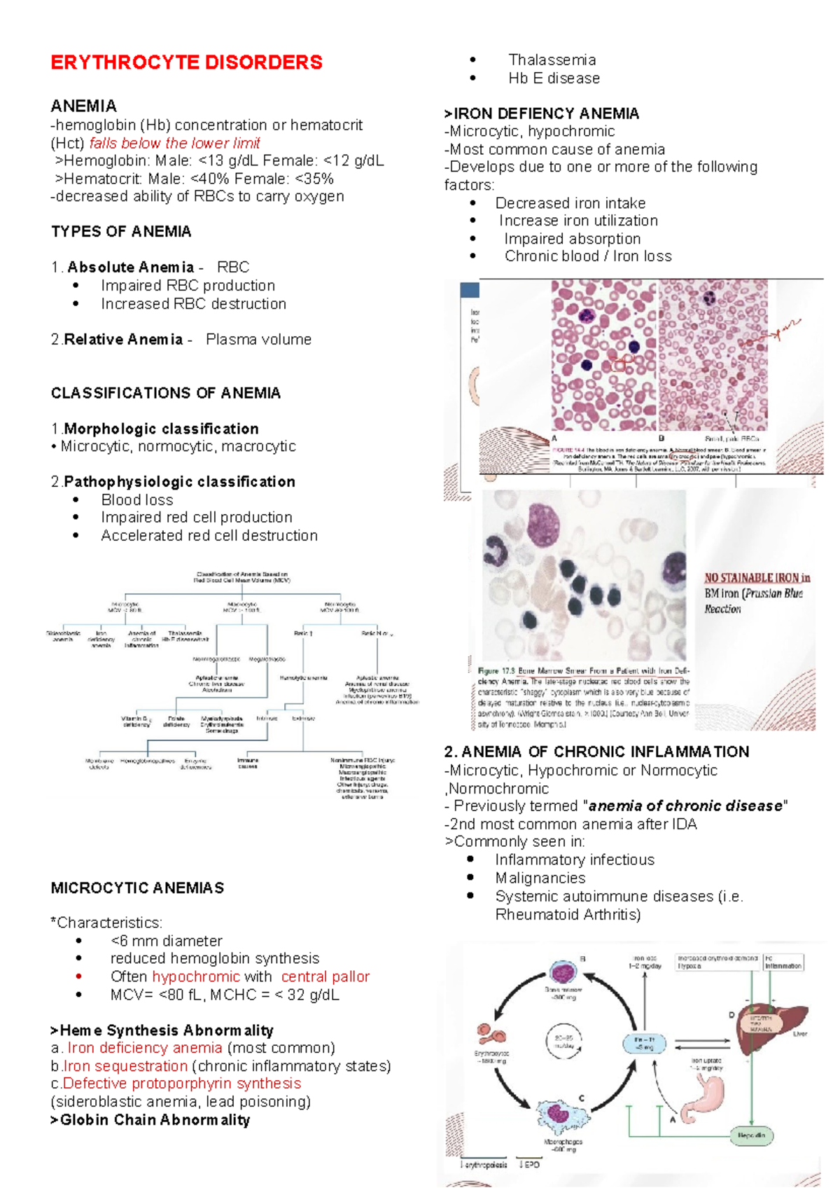 ERYTHROCYTE DISORDERS: ANEMIA TYPES AND CLASSIFICATIONS - Studocu