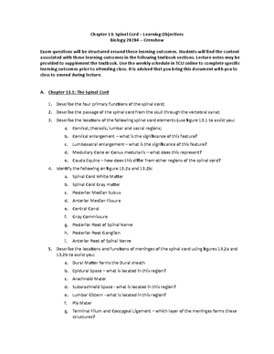 Biology 20204: Chapter 16 - Special Senses Learning Objectives - Chapter 16: Special Senses ...