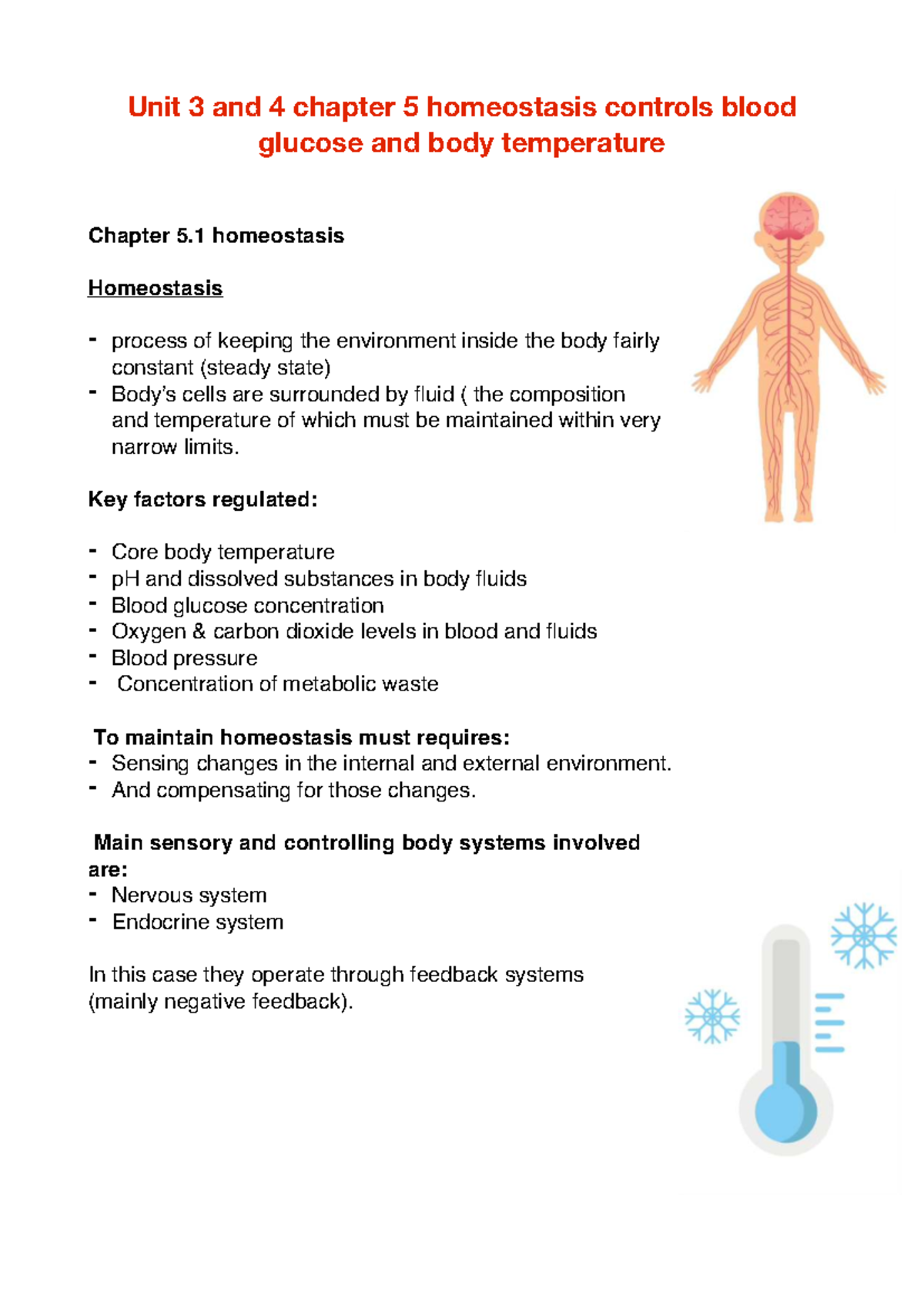 Unit 3 and 4 chapter 5 homeostasis: Blood glucose and temperature ...