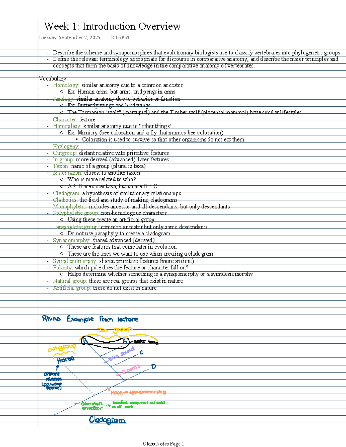 Class Notes: Comparative Anatomy of Vertebrates (BIO 101) - Studocu